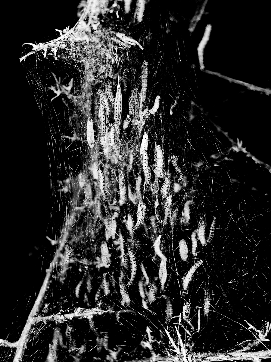 Interview with Igor Pisuk by Martin Čulík | dofoto-magazine